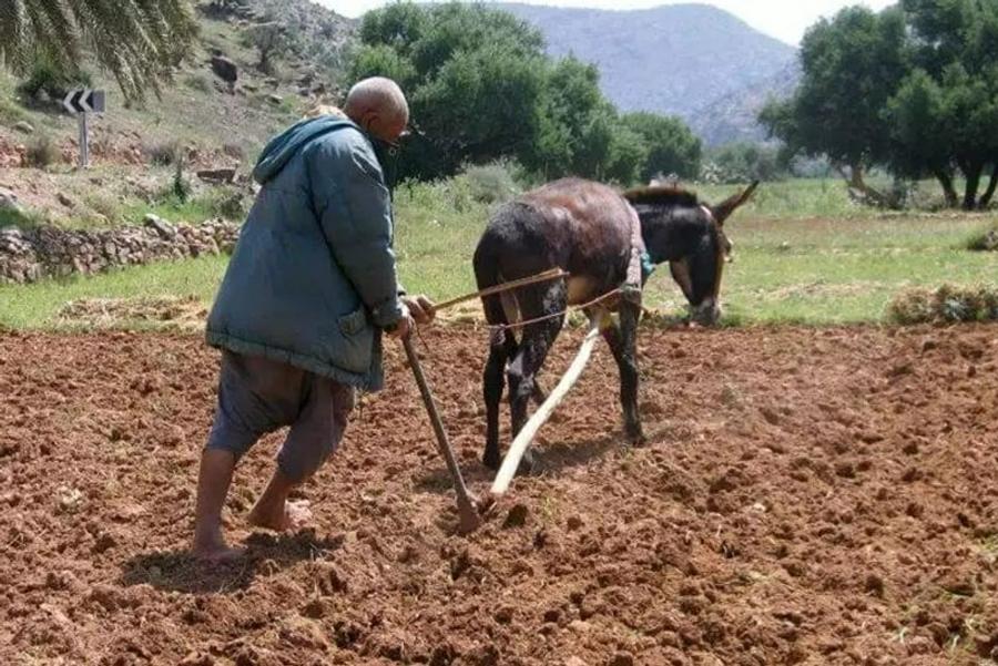 Le Maroc face à l'exode rural : la montée des migrations internes sous ...