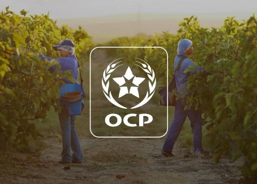 OCP revenues climb to $5.45 billion in first half of 2025 as fertilizer ...